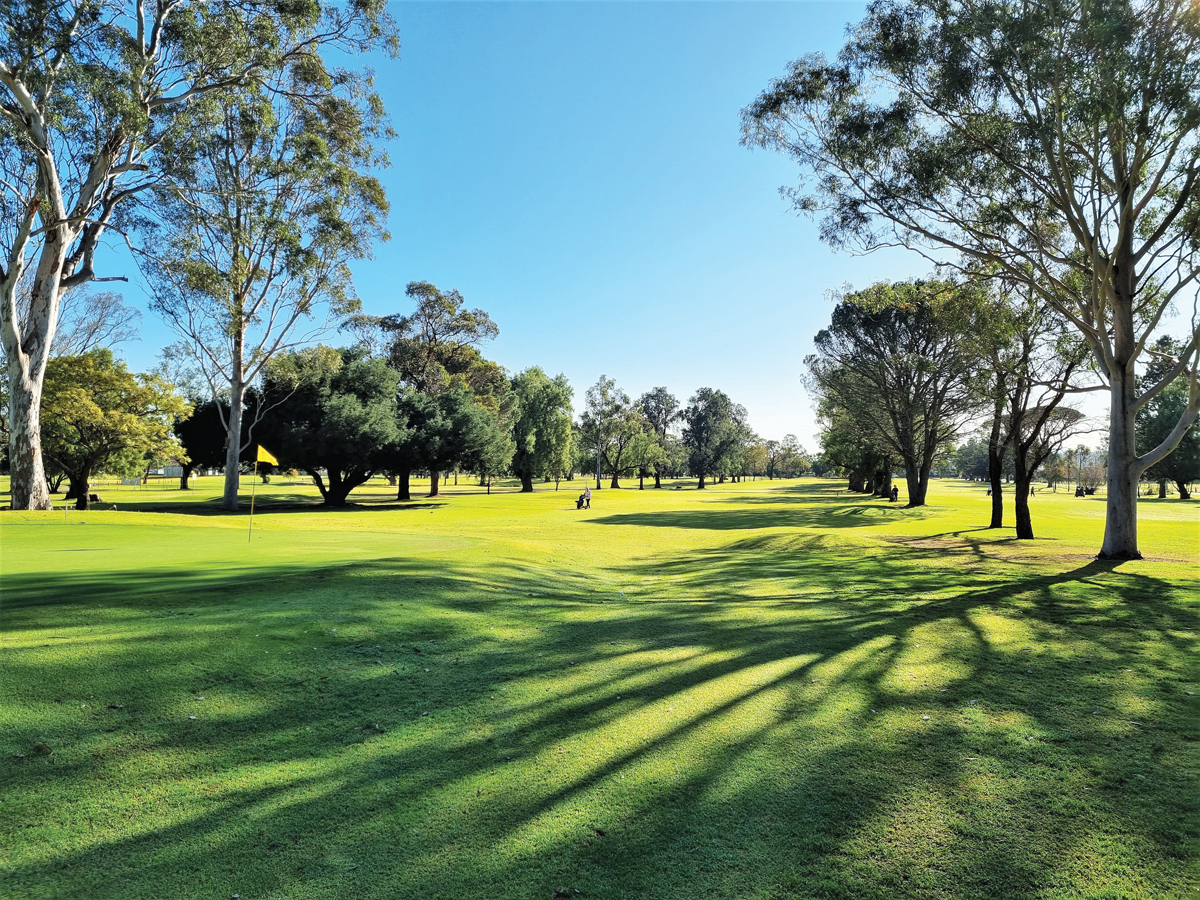 | 100TH ANNIVERSARY: Singleton – the club everyone supports | Inside ...
